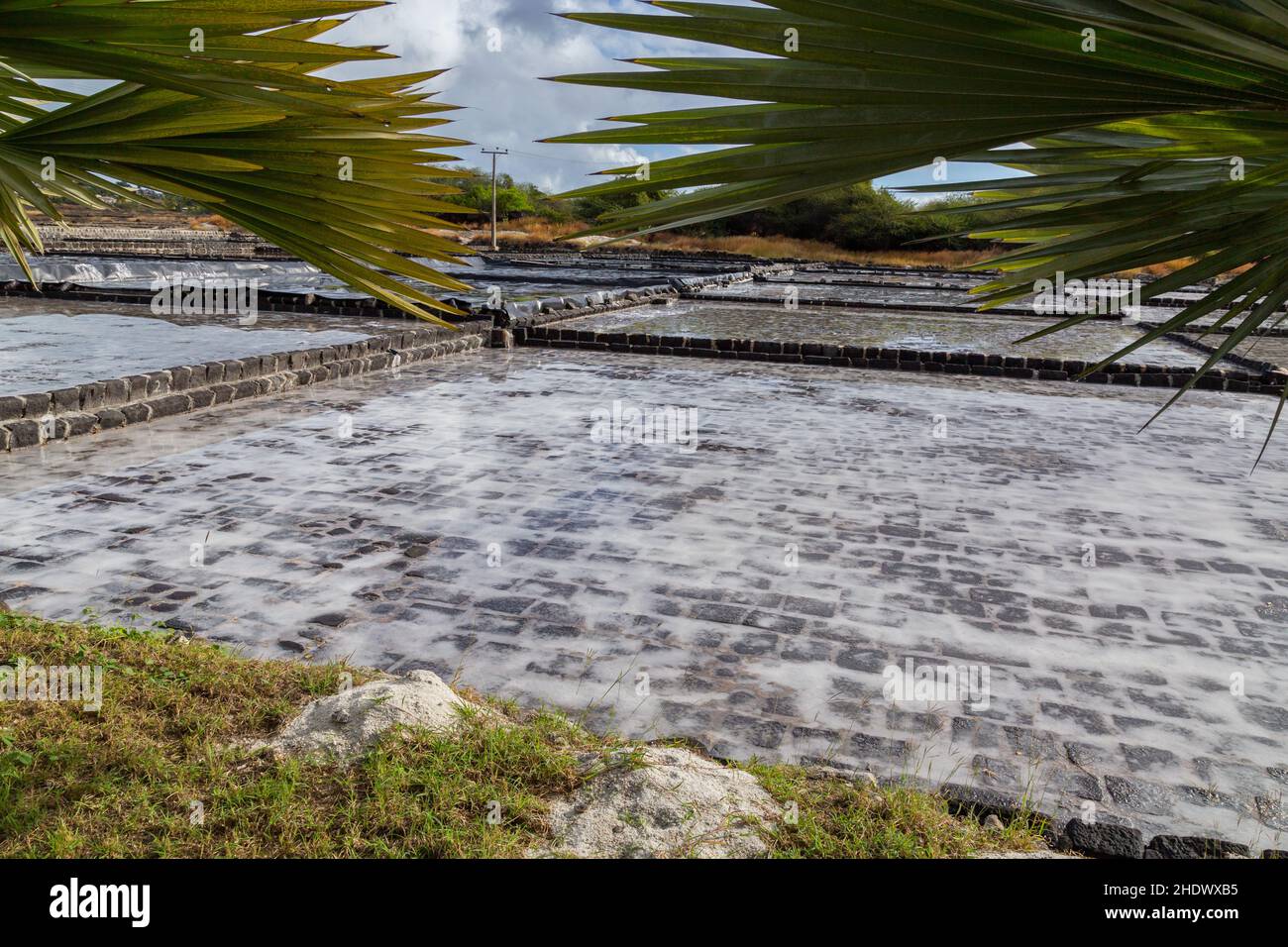 Tamarin mauritius salt hi-res stock photography and images - Alamy