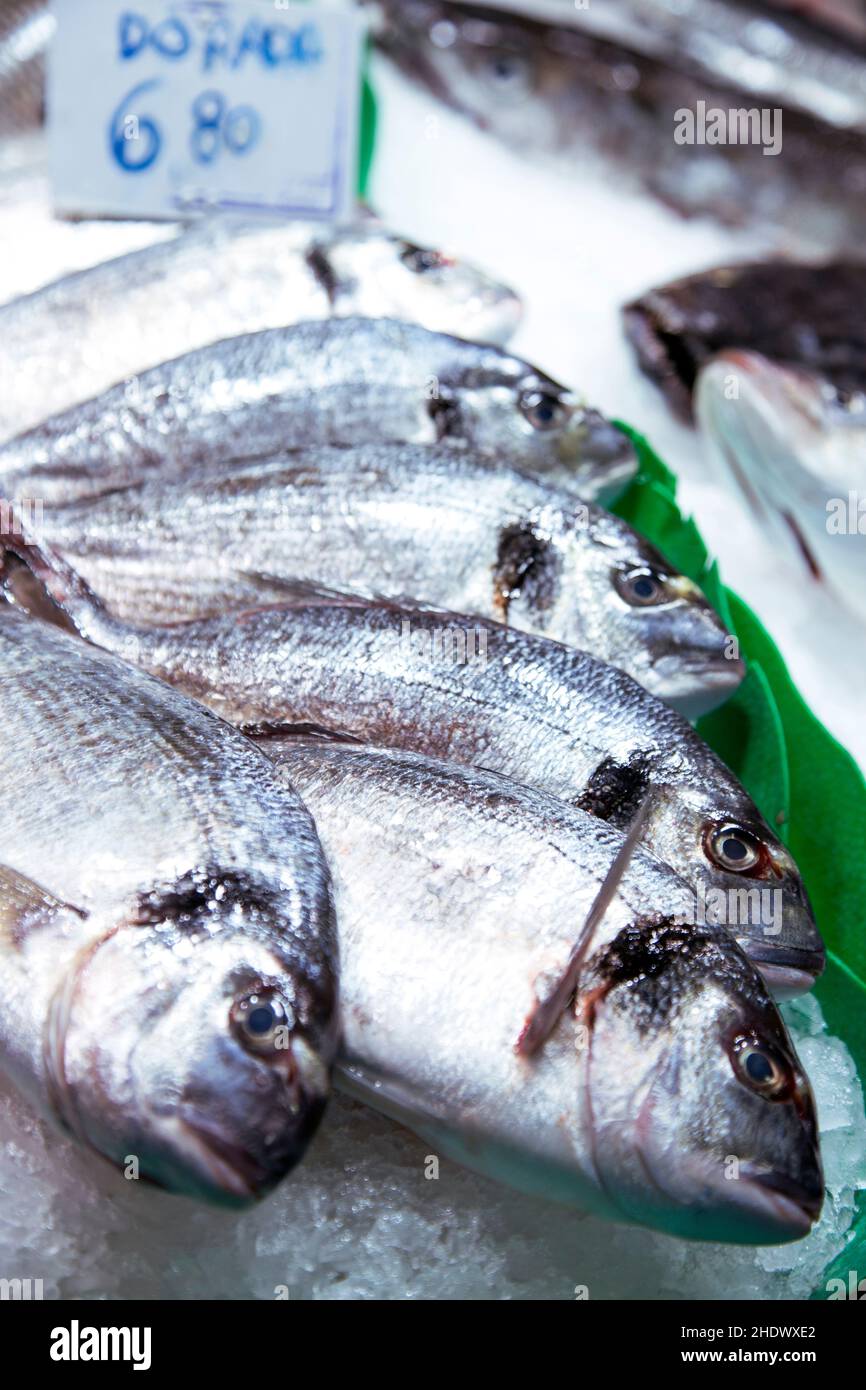 prepared fish, gilt head bream, prepared fishs, gilt-head breams Stock ...