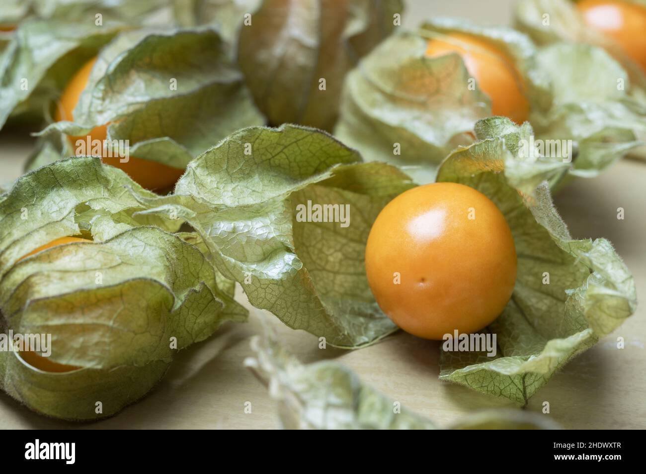 Physalis fruit fruits healthy food hi-res stock photography and images ...