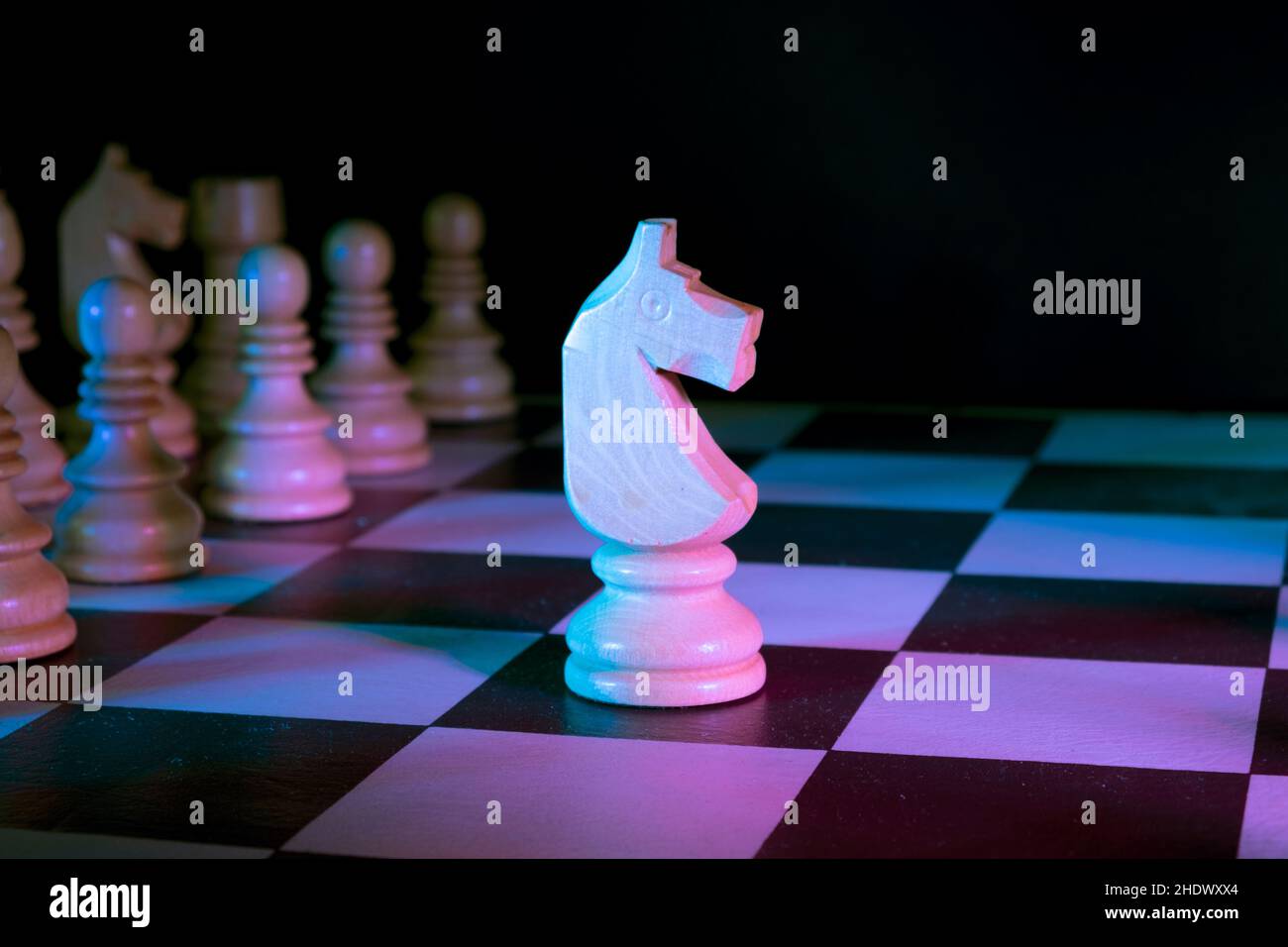 Close-up shot of a knight on a chess desk under the purple light Stock ...