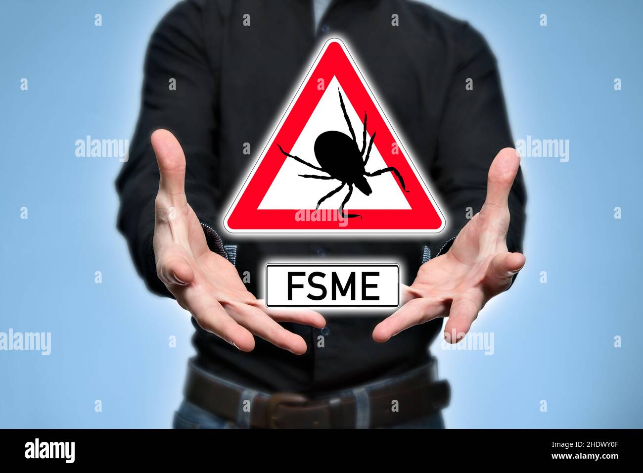 tick, borreliosis, tick-borne encephalitis, ticks, fsme, tbe Stock ...