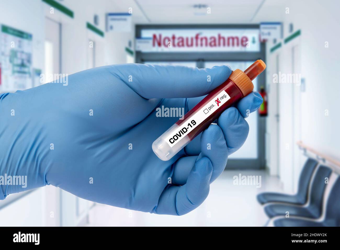 negative, blood test, covid-19, negatives, blood tests Stock Photo - Alamy