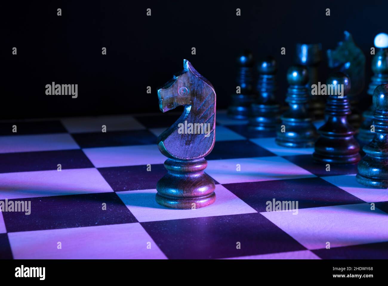 Close-up shot of a black knight on a chess desk under the purple light ...