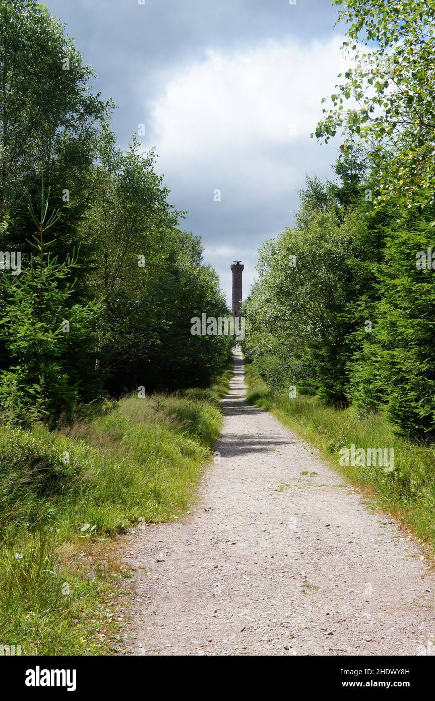 black forest, long distance trail, Hohloh Tower, black forests, wood ...