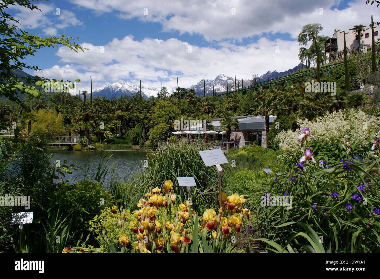 merano, botanical garden, meranos, botanical gardens Stock Photo - Alamy