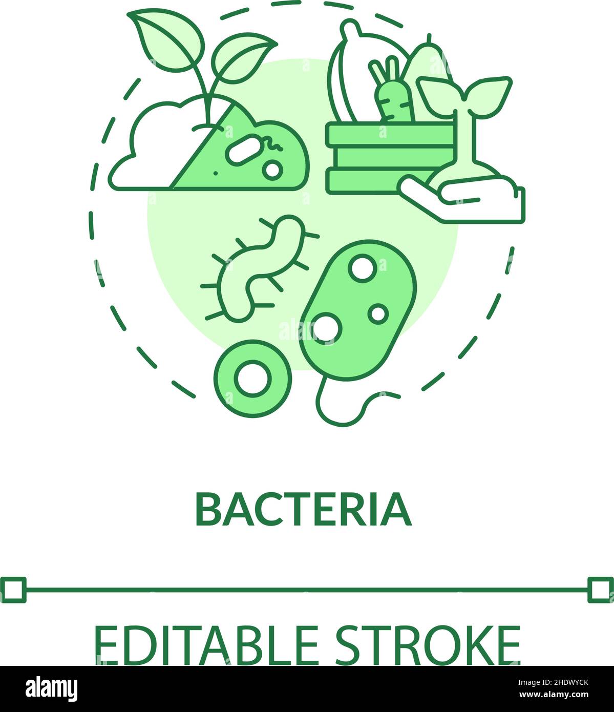 Bacteria green concept icon Stock Vector Image & Art - Alamy