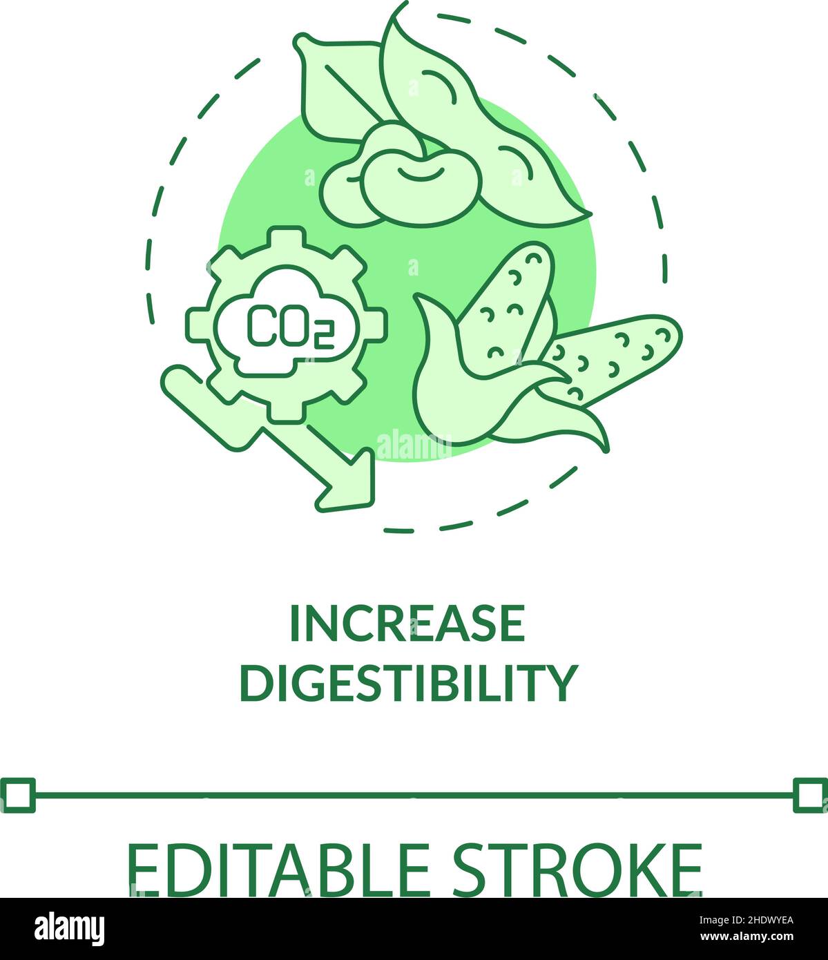 Livestock digestion Stock Vector Images - Alamy