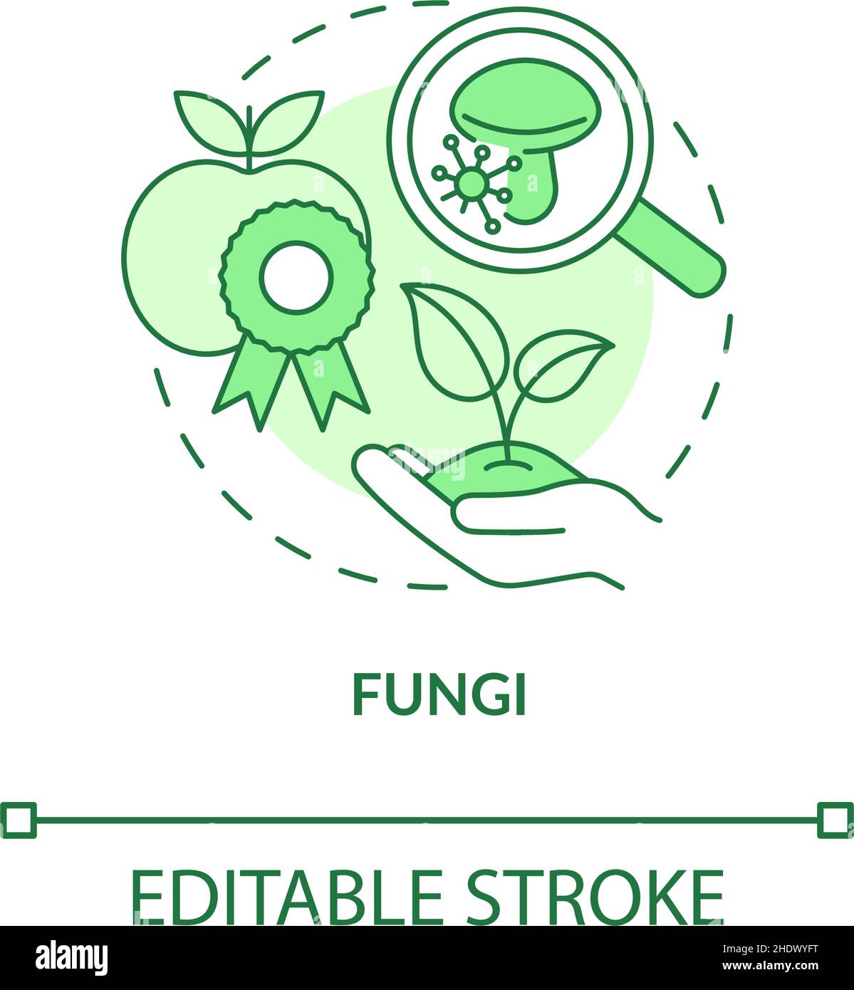 Fungi green concept icon Stock Vector Image & Art - Alamy