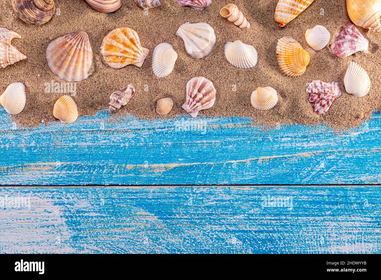 sand, mussels, sands, mussel Stock Photo - Alamy