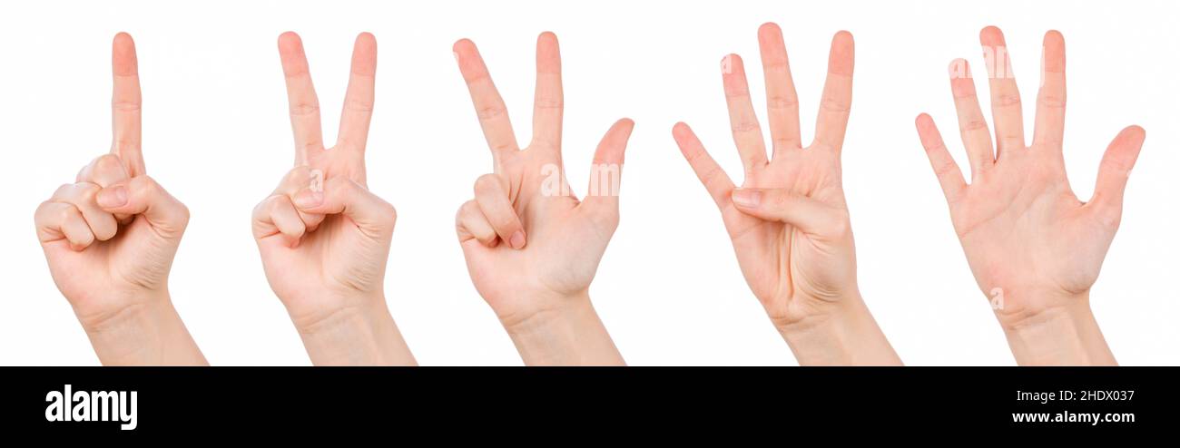 finger, hand, counting, 5, fingers, hands, five Stock Photo - Alamy