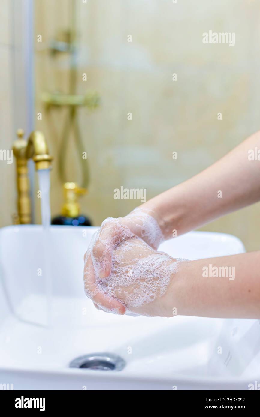 hygiene, lather, washing hands, hygienes, lathers, wash, washing Stock ...