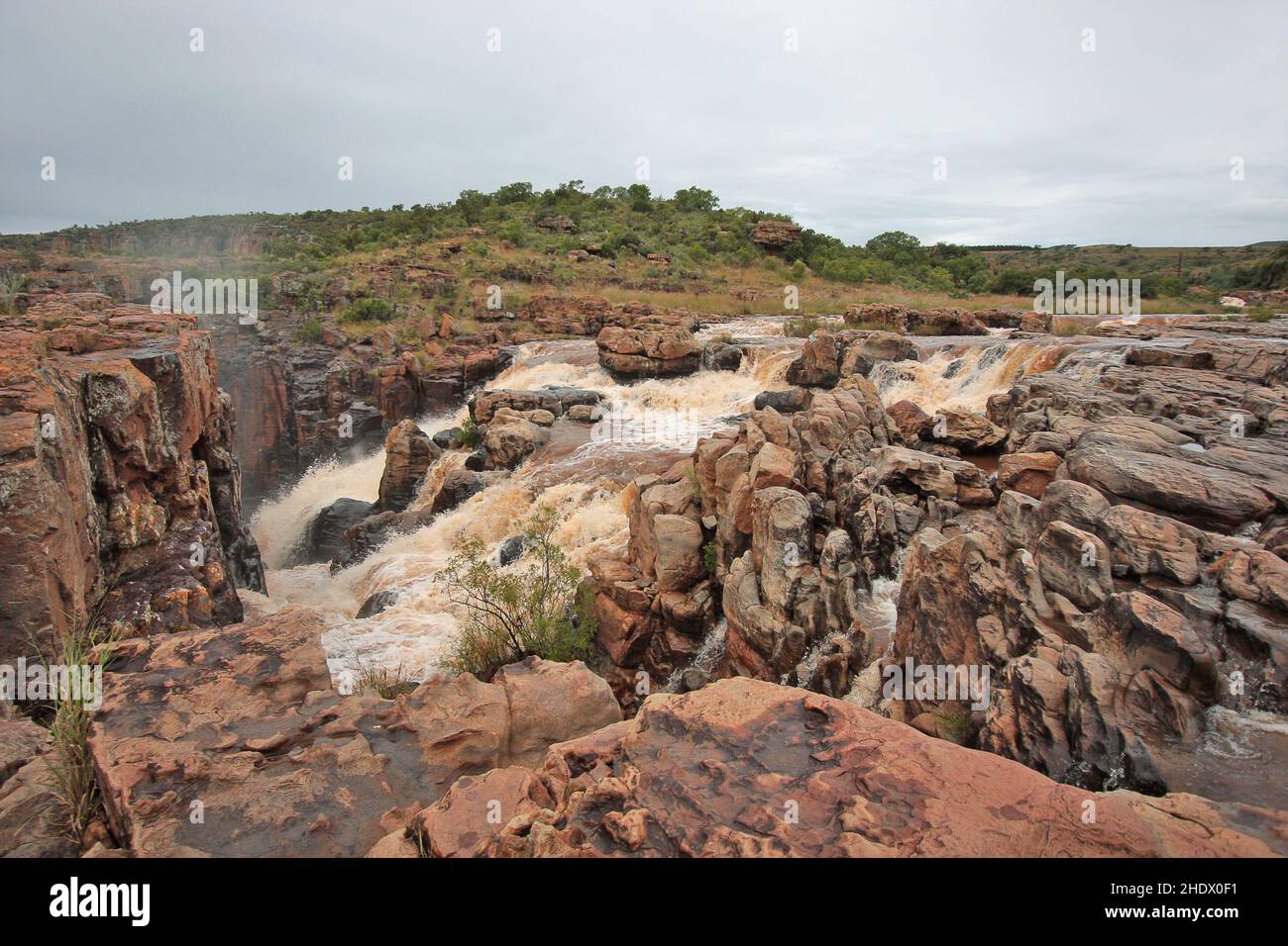 canyon, south africa, god's window, south african, south africas, god's ...