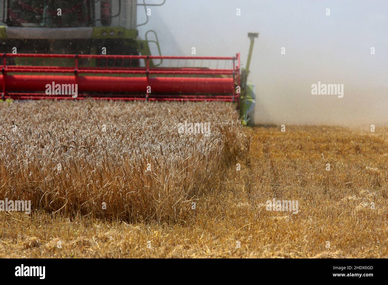 harvest, combine, farmer, wheat field, harvests, combines, harvester ...