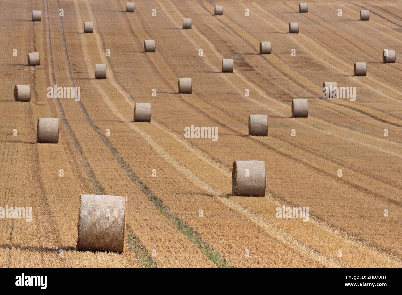 straw bales, harvest, corn field, straw bale, harvests, corn fields ...