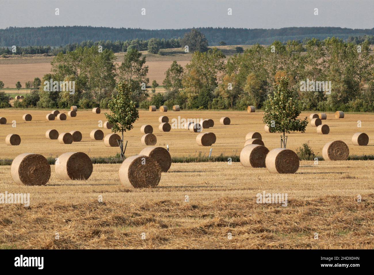 landscape, straw bales, farming, landscapes, rural, rural scene, scene ...
