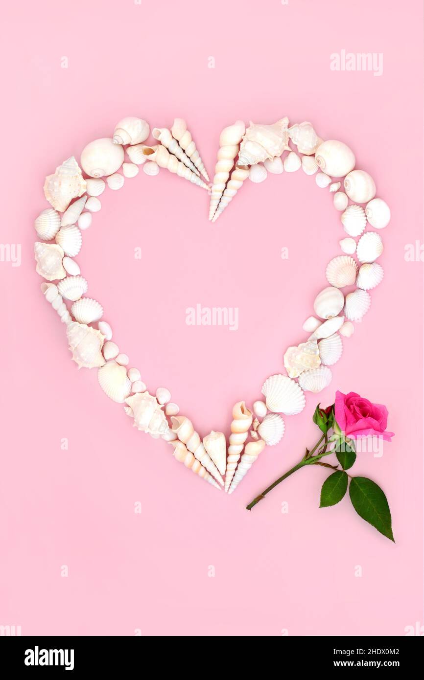 Valentines Day heart shaped sea shell wreath with white seashells and ...