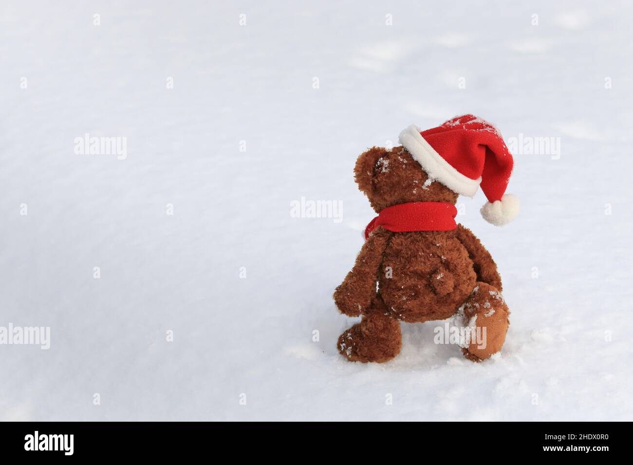 winter, teddy bear, snow walking, winters, teddy bears Stock Photo - Alamy