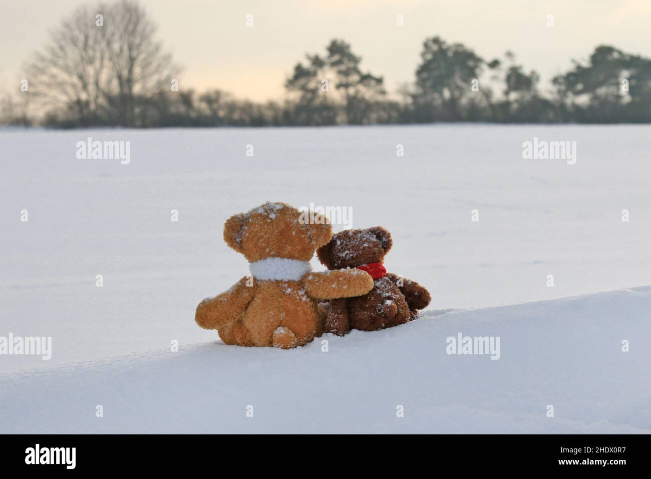 winter, togetherness, teddy bear, winters, together, teddy bears Stock ...