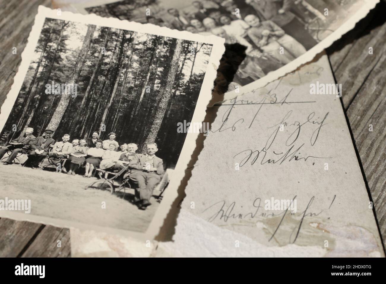 nostalgia, memory, genealogy, nostalgias, memories, genealogies Stock ...