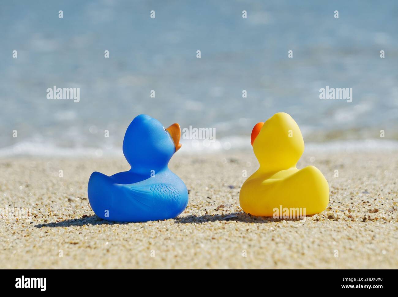toy, rubber duck, toys, rubber ducks Stock Photo - Alamy