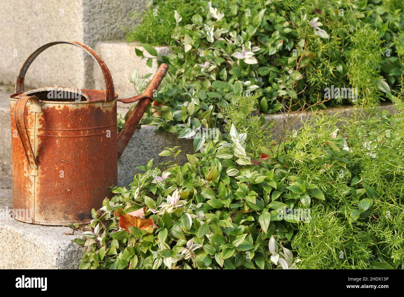 Rusted cans hi-res stock photography and images - Alamy