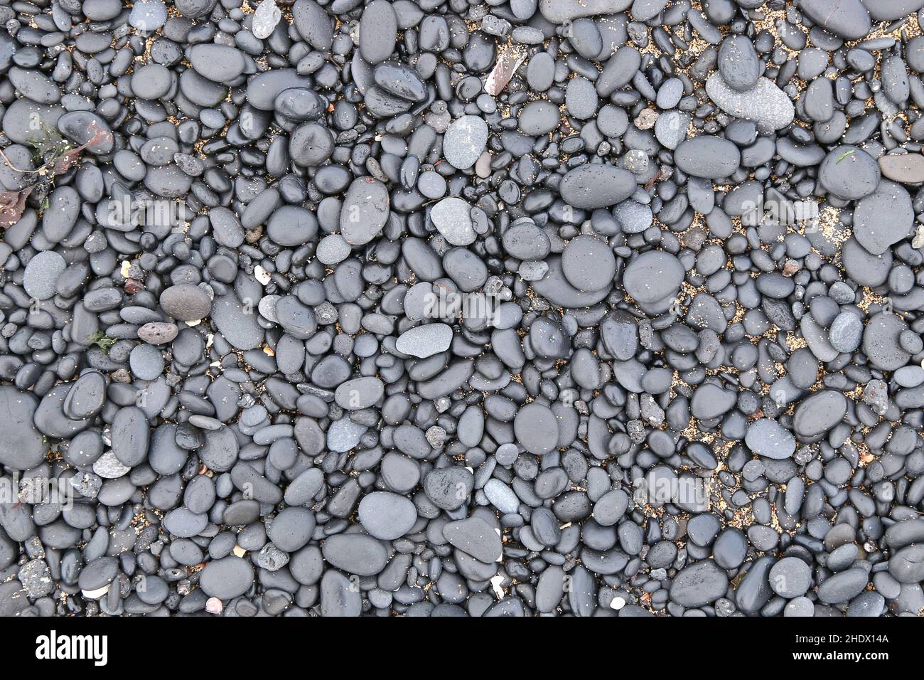 gray, pebble, grays, pebbles Stock Photo - Alamy