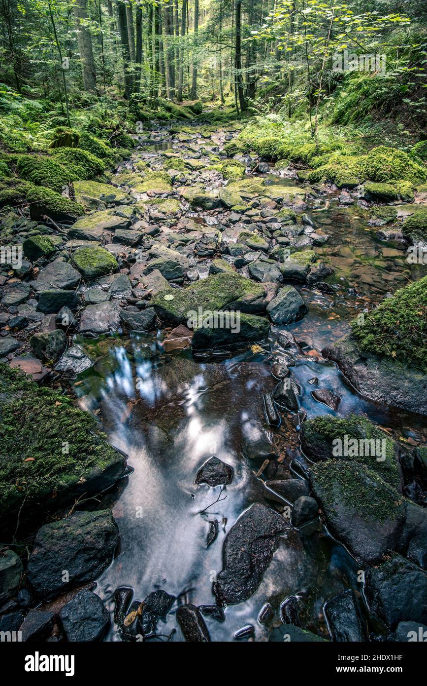 Stream of water on a rocky riverbed in a forest along the Monbachtal ...