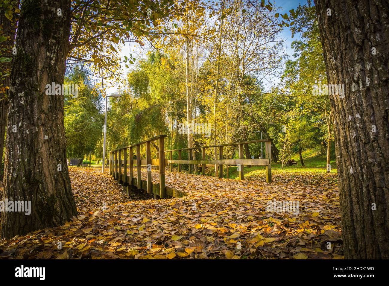 Bonito Green Park in Entroncamento, Portugal in the autumn Stock Photo ...