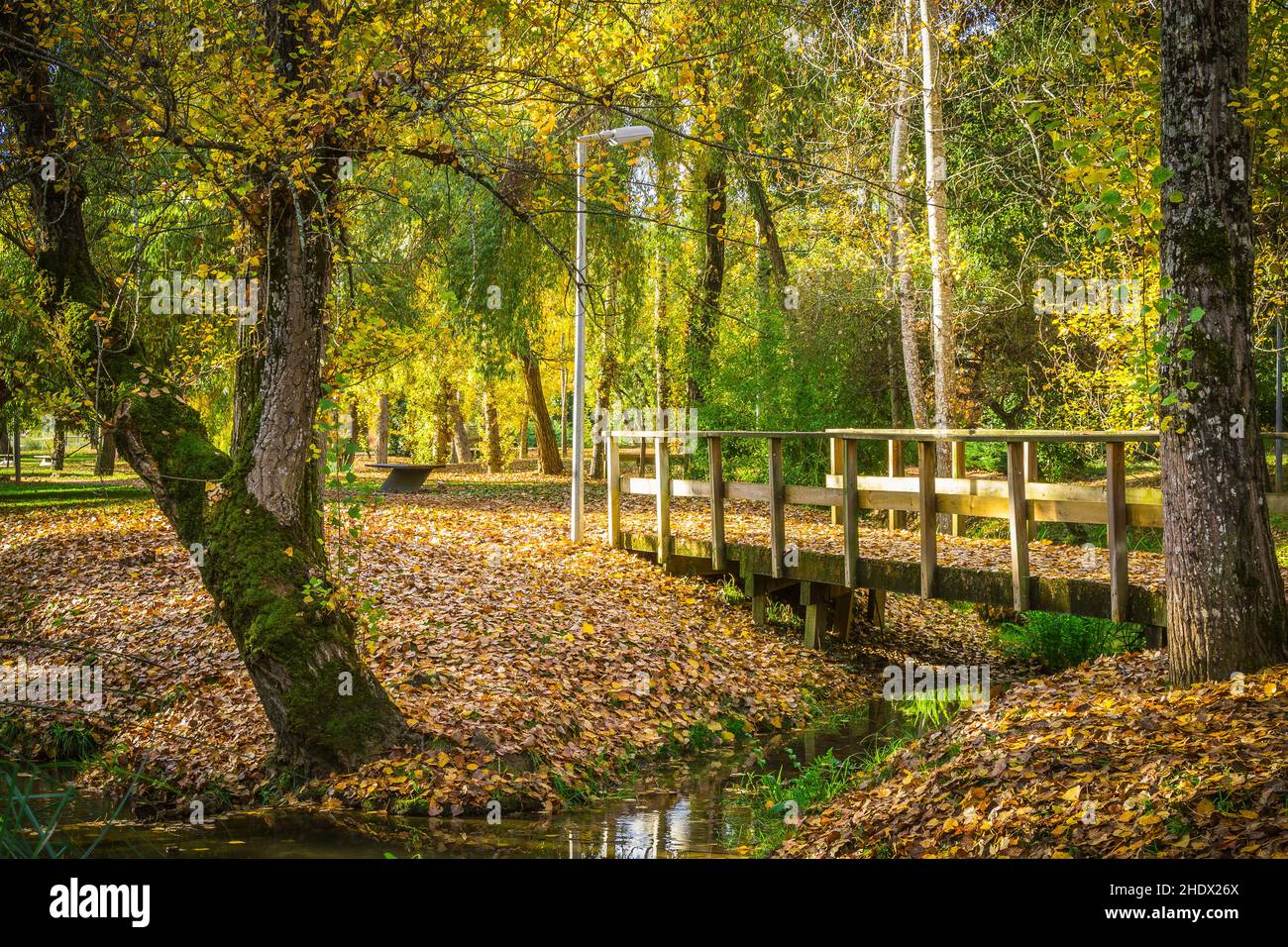 Green Park of Bonito in Entroncamento, Portugal in the autumn Stock ...