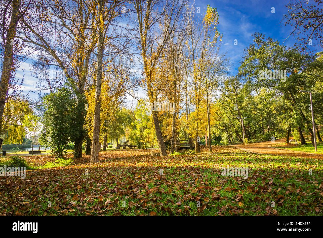 Bonito Green Park in Entroncamento, Portugal in the autumn Stock Photo ...