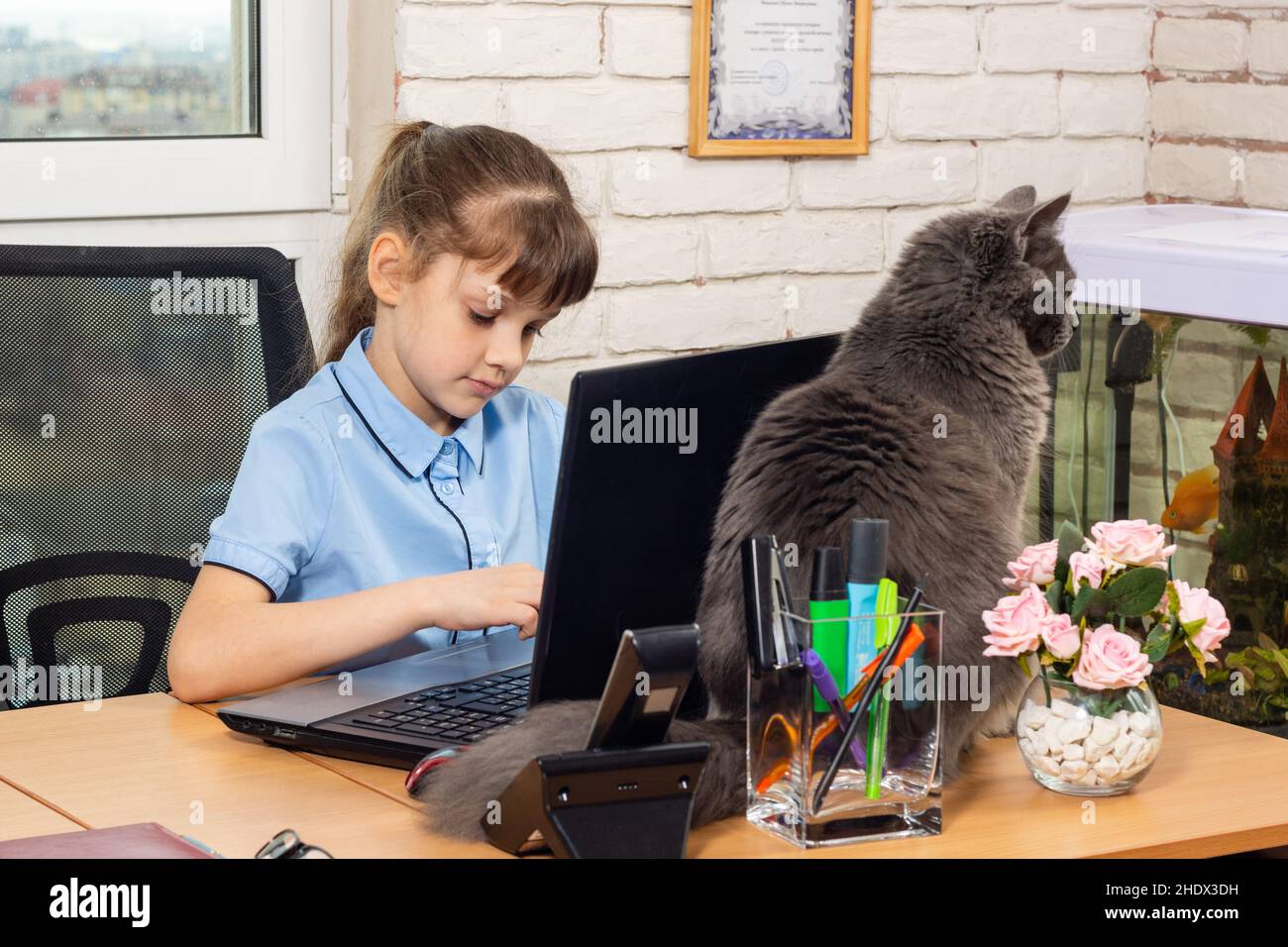 girl, typing, laptop, desk, girls, stenographer, computer, computers ...