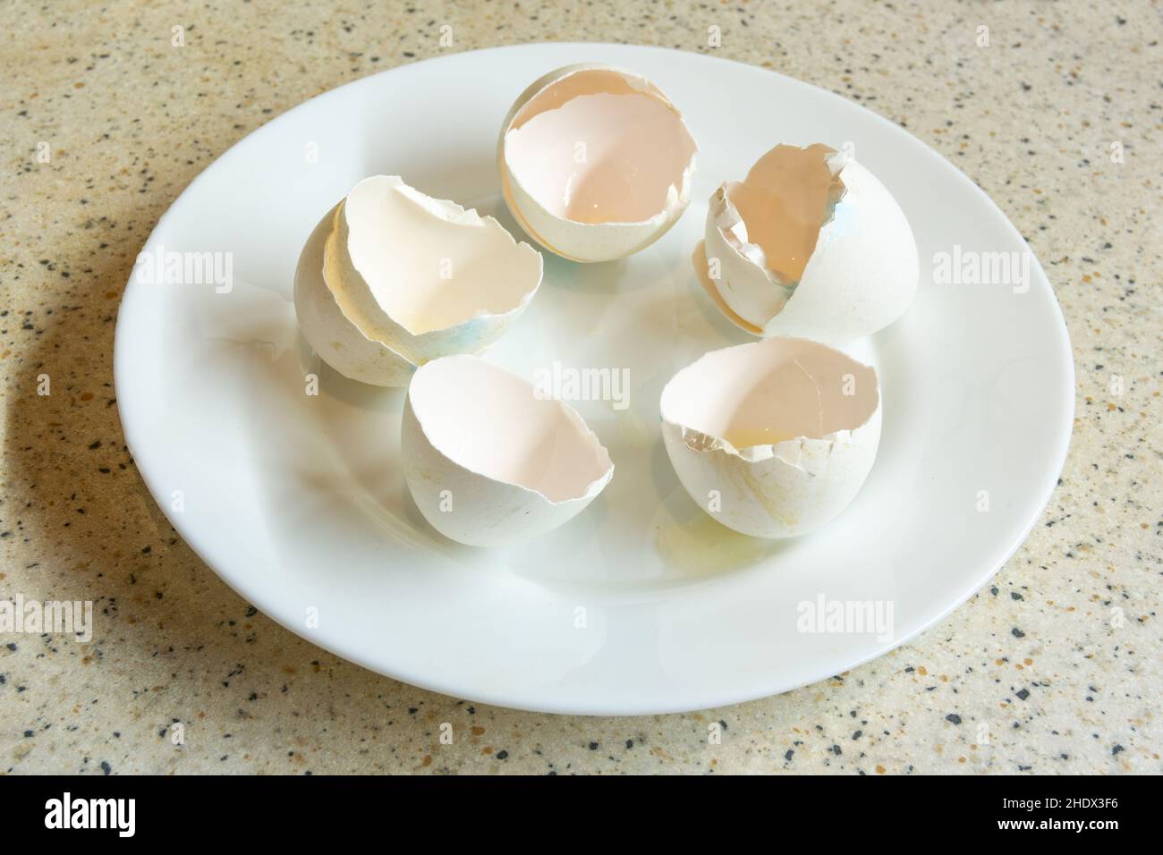 egg shell, egg shells Stock Photo - Alamy