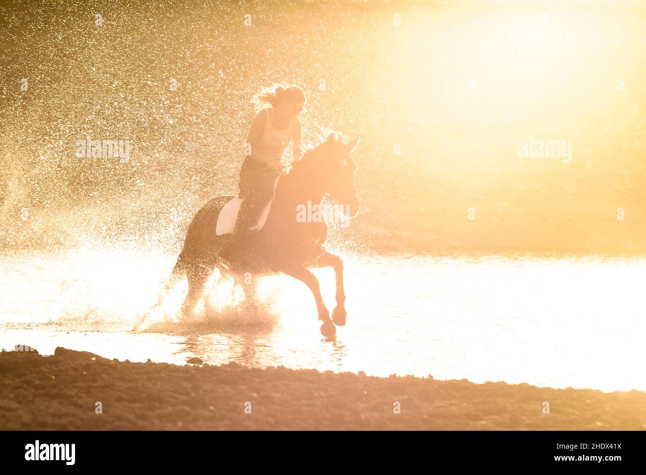 sunset, riding, water splashes, sunsets, ride, spatter, splash ...