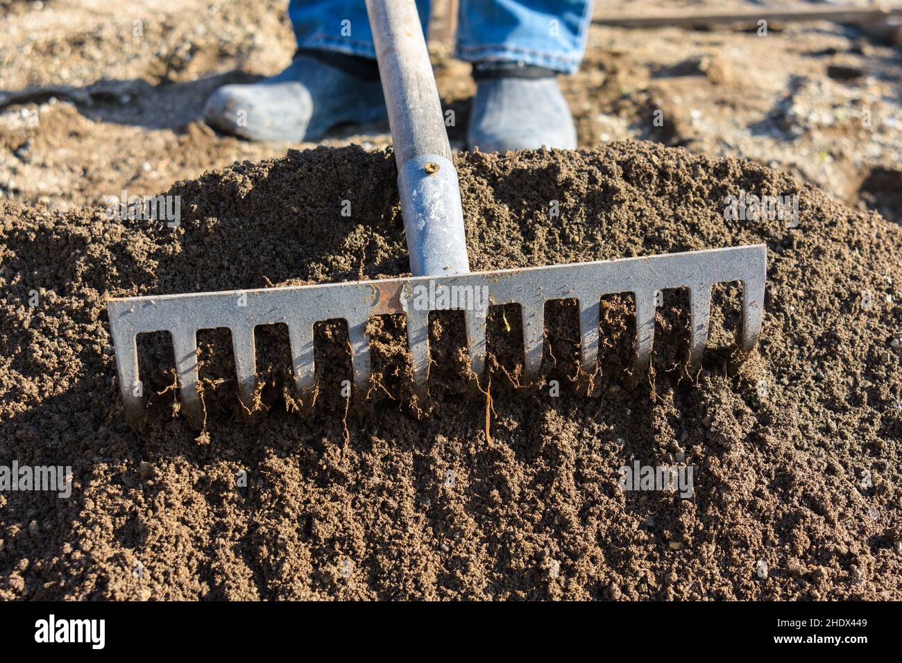 earth, rake, flower bed, loosening, earths, rakes, flower beds, loosen ...