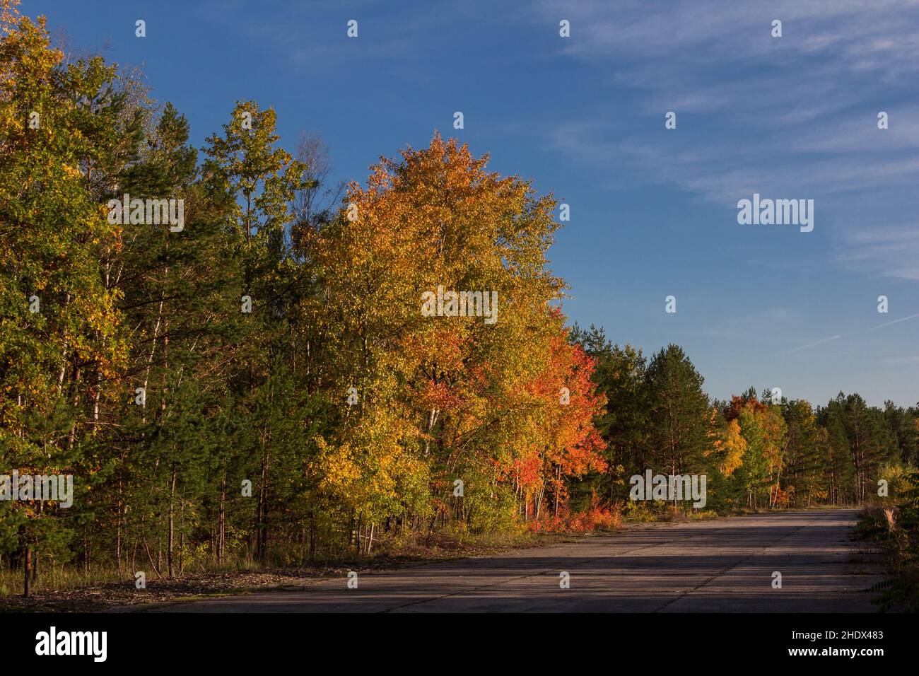 autumn, road, fall, roads, street, streets Stock Photo - Alamy