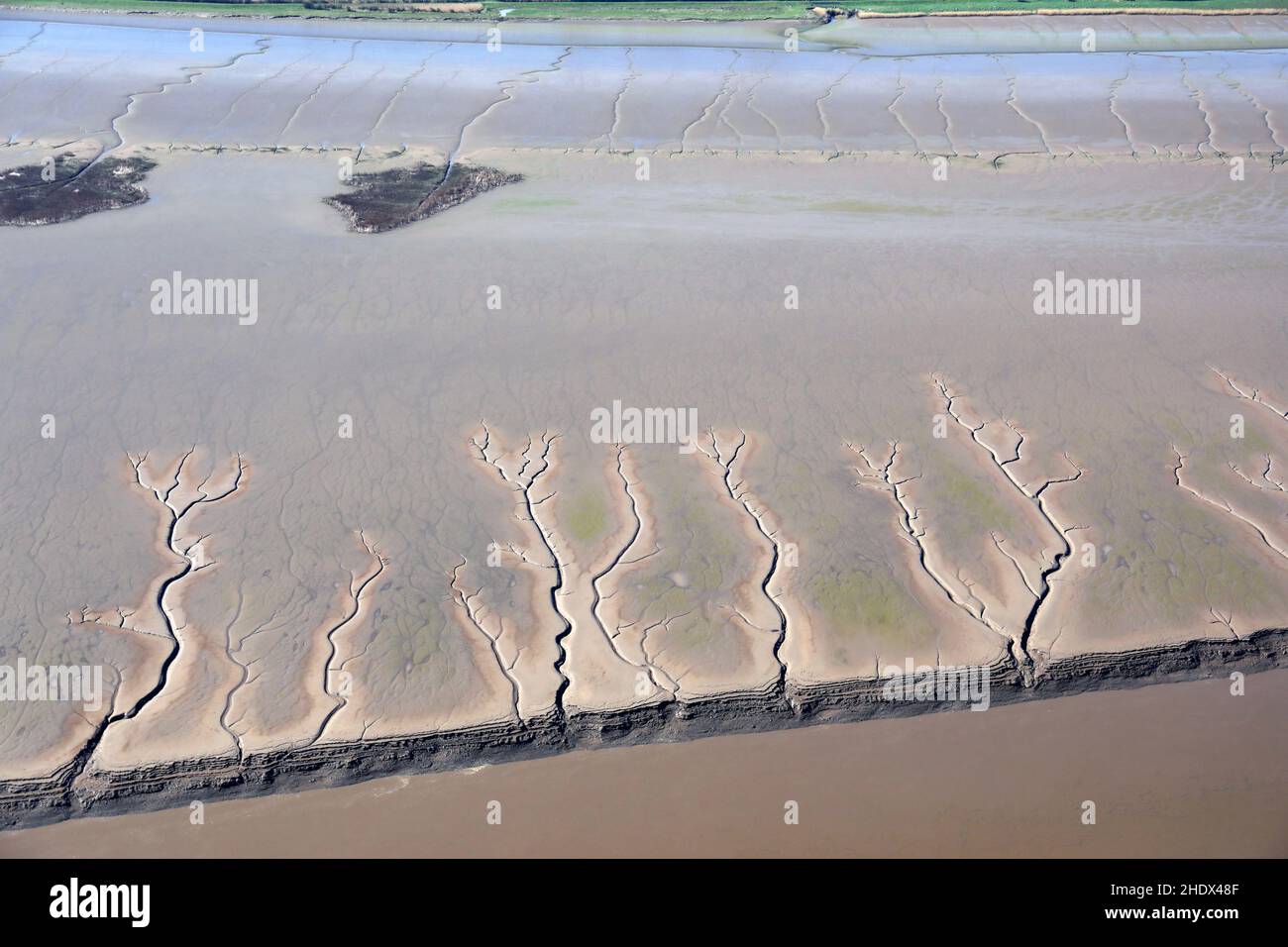 aerial view of Read's Island, an island situated just outside the ...