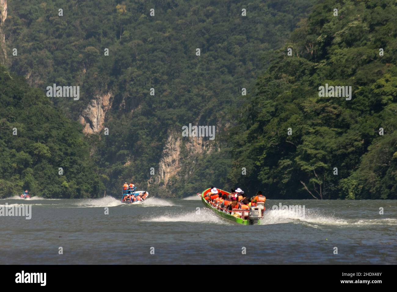 rainforest, sumidero canyon, jungle, rainforests Stock Photo - Alamy