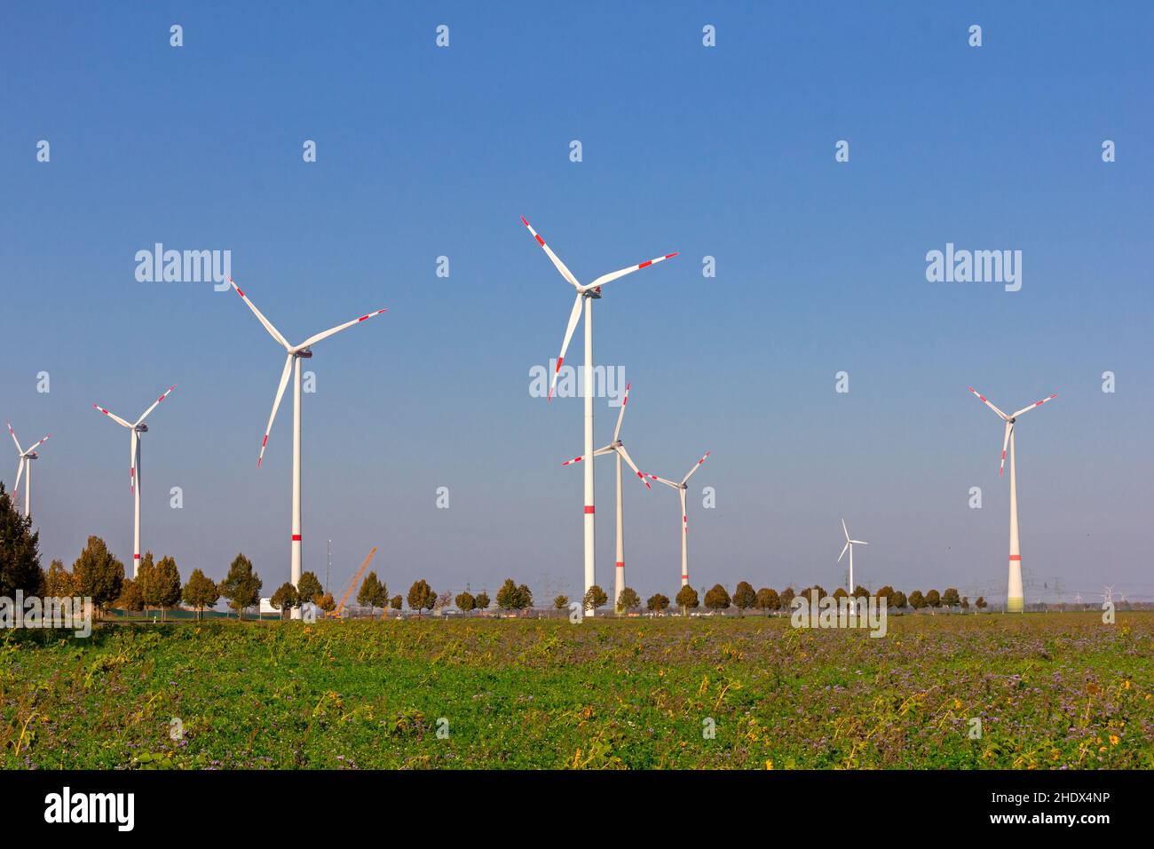 wind power, pinwheel, wind turbine, wind powers, pinwheels, wind ...