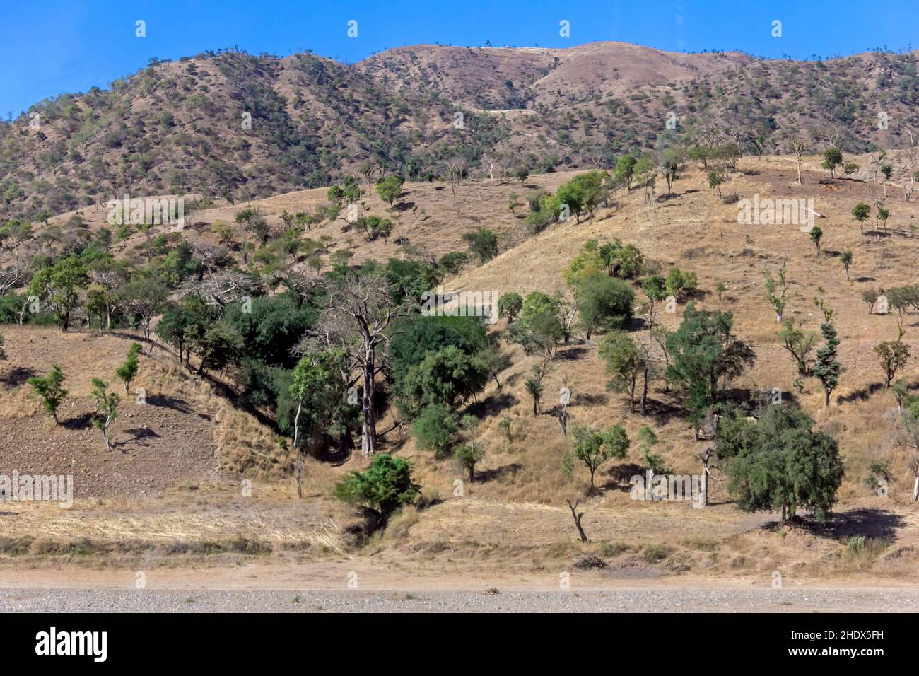 bush land, ethiopia, bush lands, ethiopias Stock Photo - Alamy