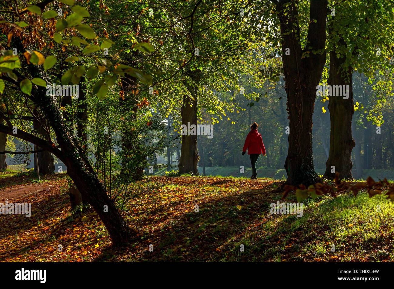 park, autumn, walk, parks, fall, walks Stock Photo - Alamy