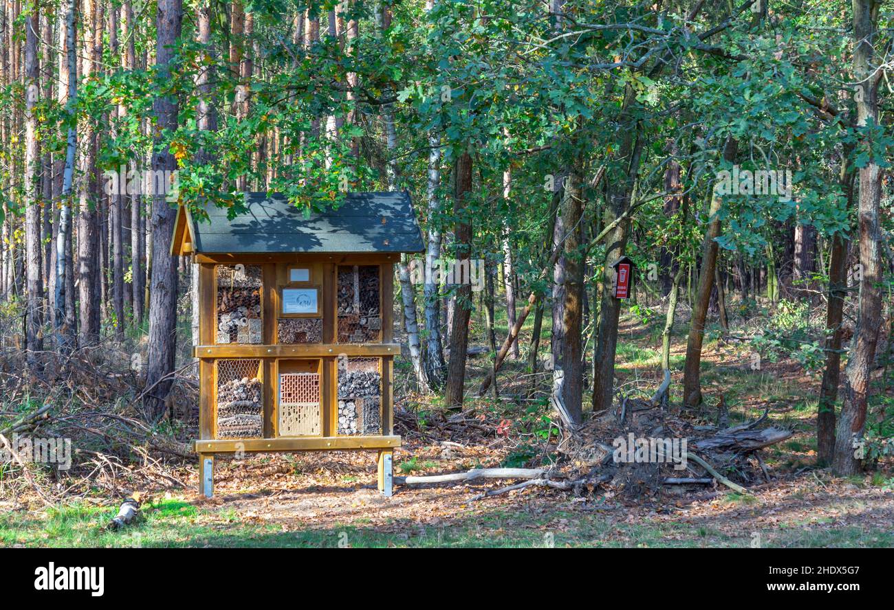 forest, insect hotel, forests, wood, woodland, woods, insect hotels ...