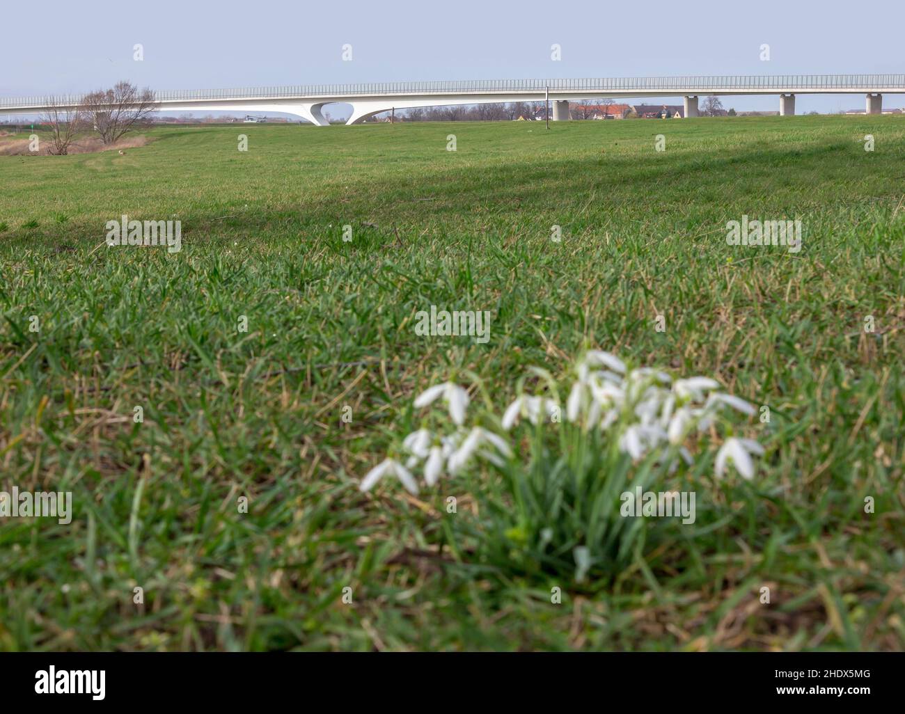 Elbe River Bridge