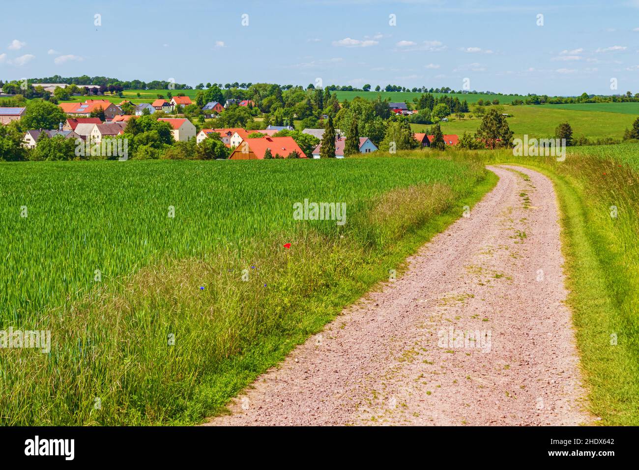 footpath, field, footpaths, fields Stock Photo - Alamy