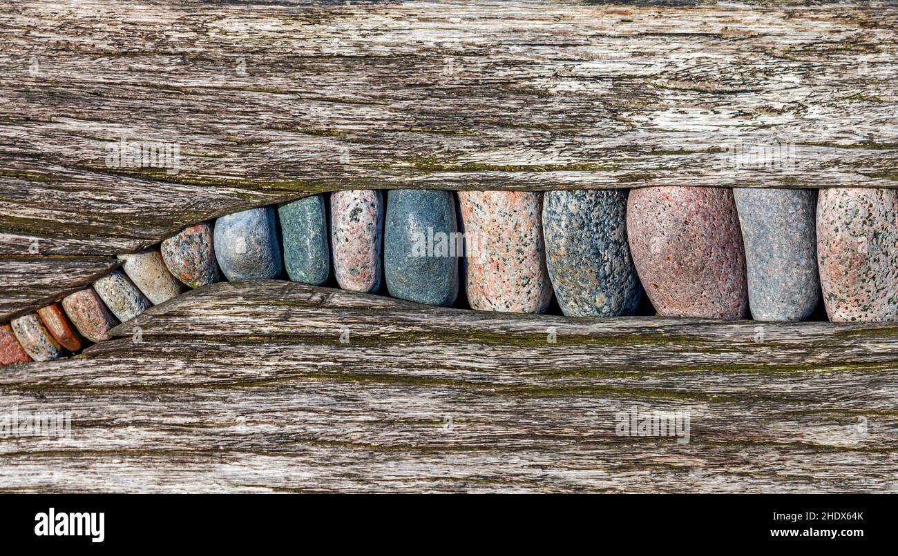 wood, pebble, woodland, woodlands, woods, pebbles Stock Photo - Alamy