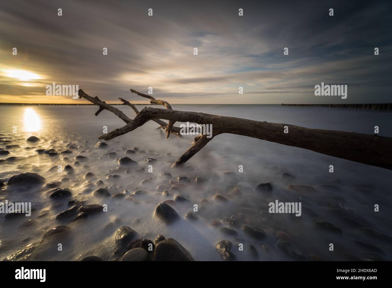 twilight, lake, deadwood, twilights, lakes, deadwoods Stock Photo - Alamy