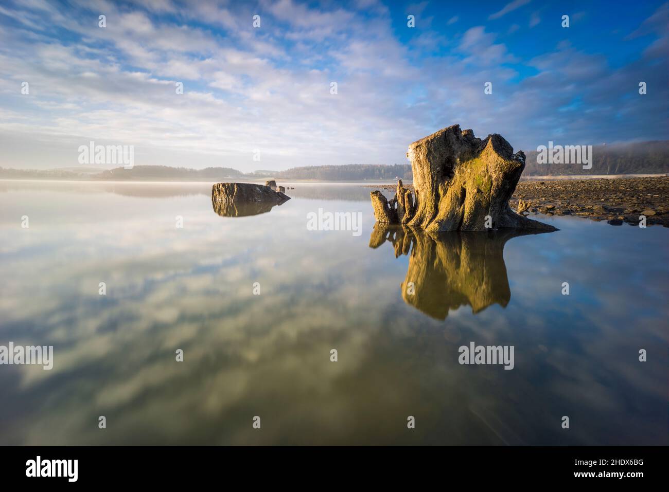 lake, nature, tree stump, lakes, natur, natures, tree stumps Stock ...