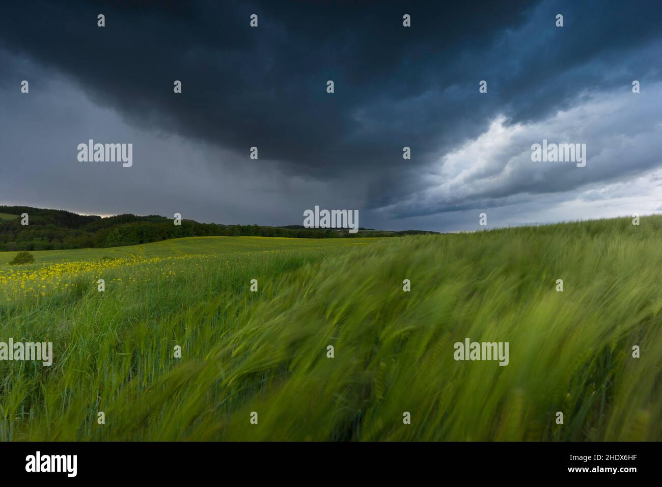 Stormies hi-res stock photography and images - Alamy