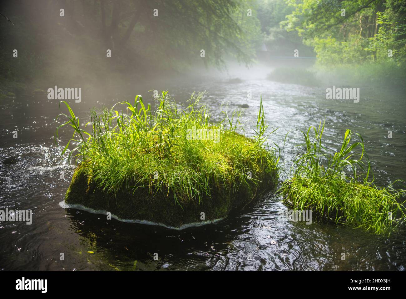 nature, environment, river, natur, natures, environments, rivers Stock ...
