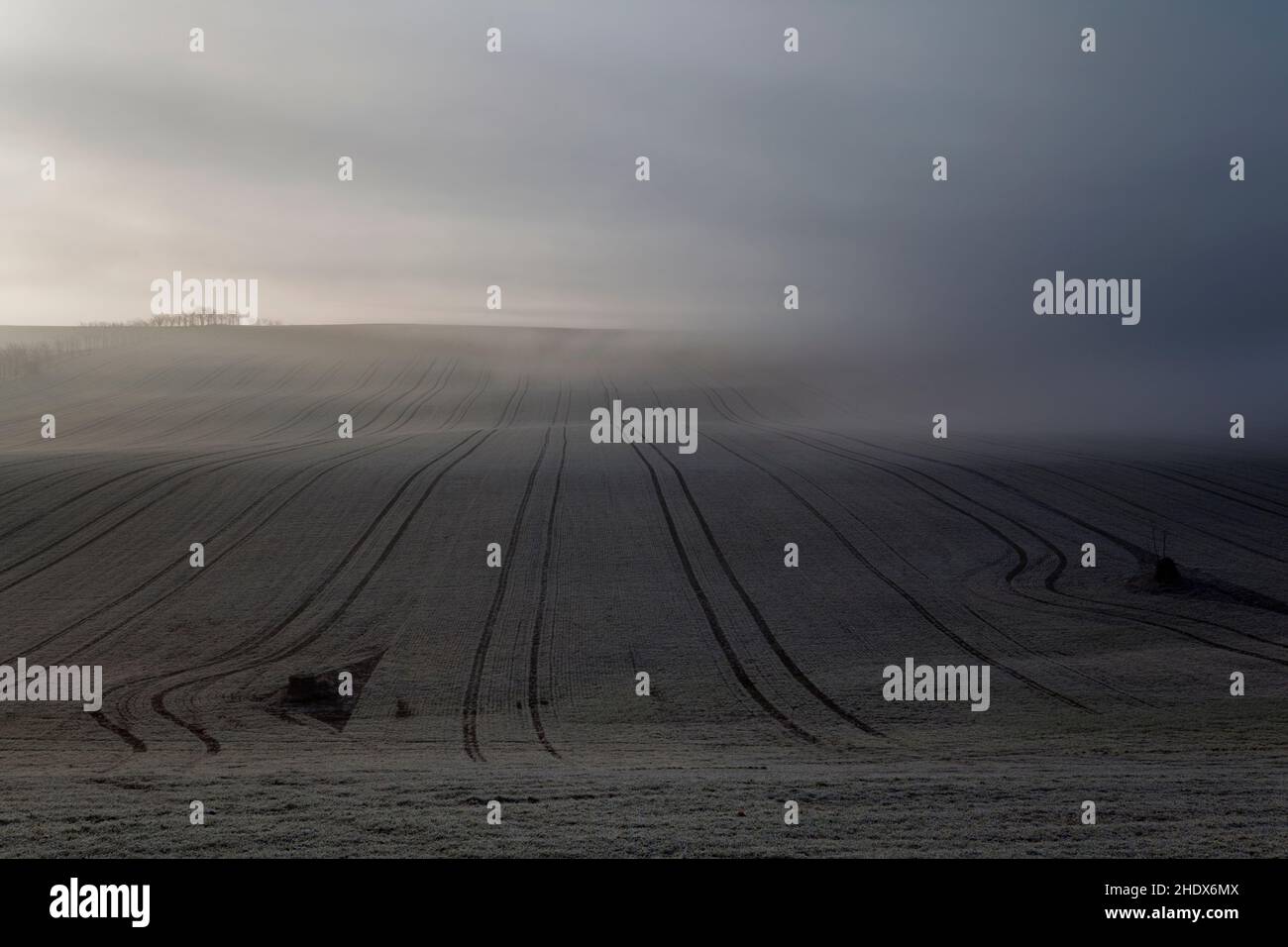 field, bad weather, fog, fields, bad weathers, weather, fogs Stock ...