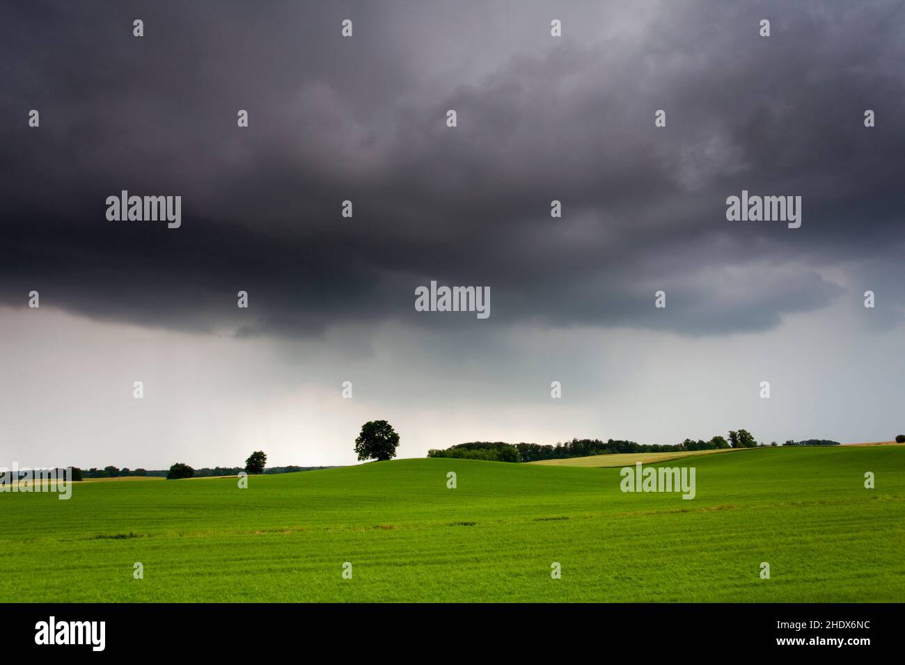 landscape, thundercloud, rain cloud, landscapes, rural, rural scene ...